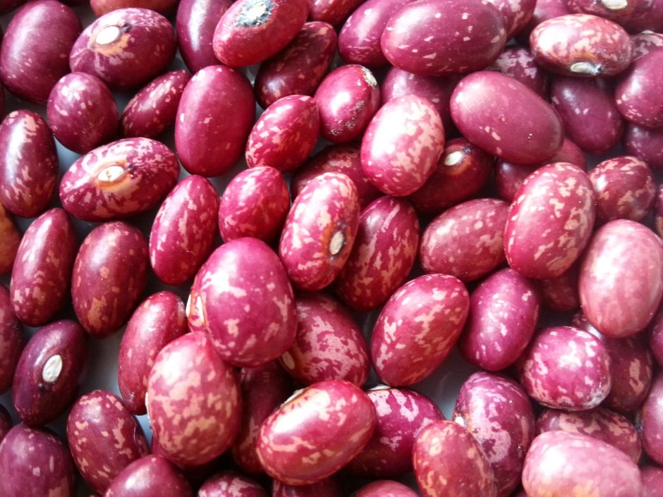 Reade krobbe ⋆ Modderbaard